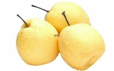 Snow Pear (3Count) 雪梨 (3个) – ESC
