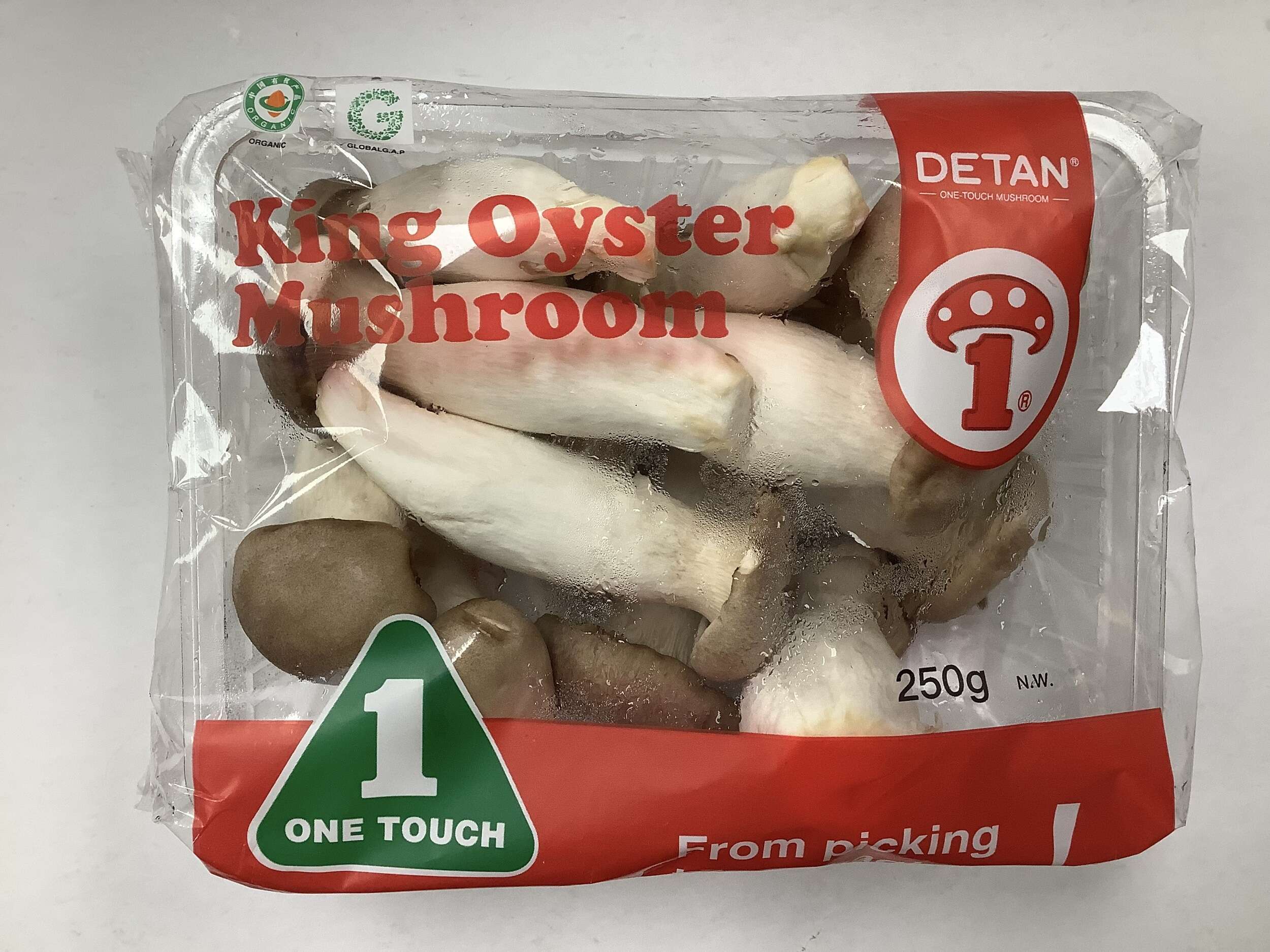 Mini king oyster mushroom – ESC